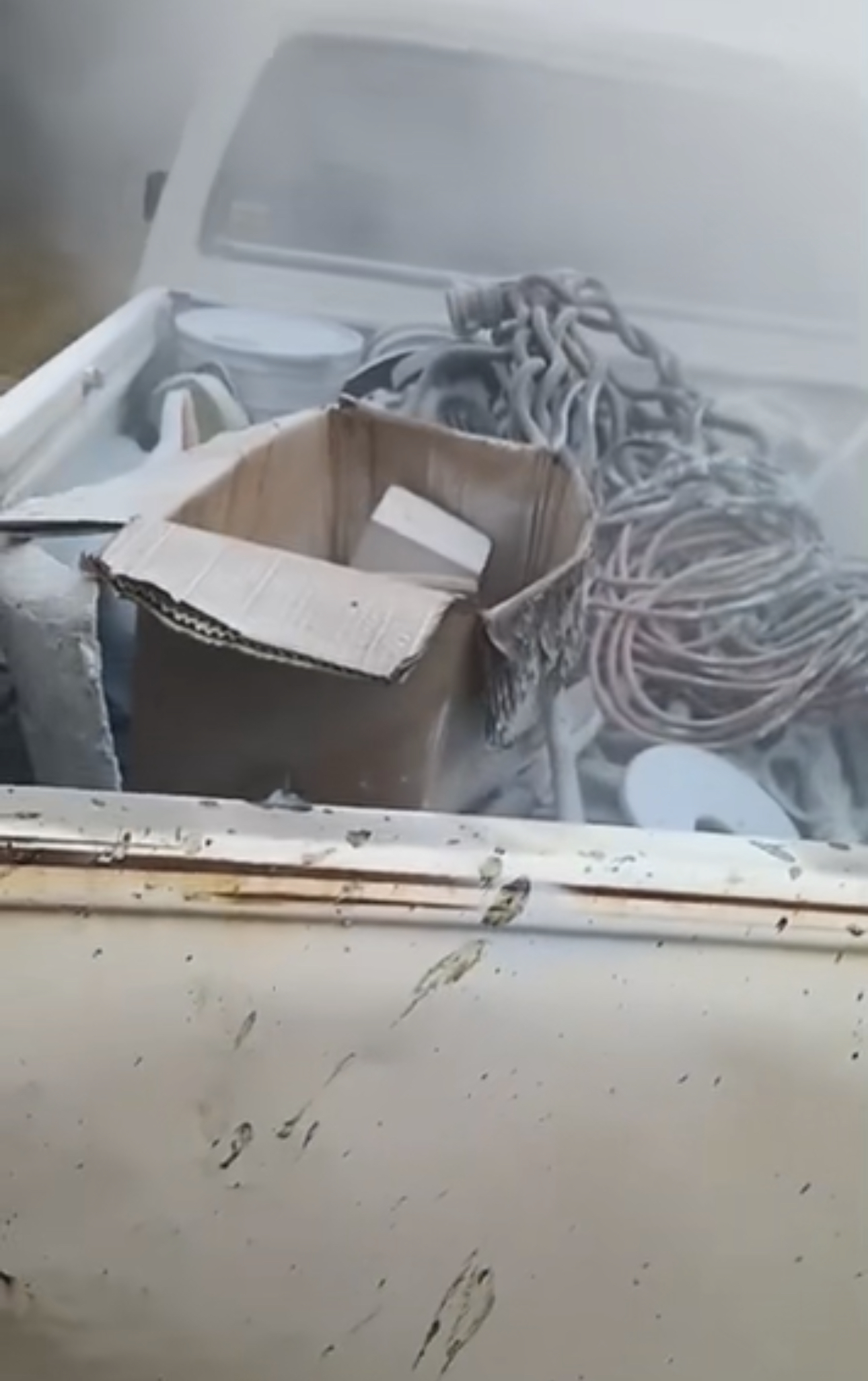 SIGNIES TO THE RESCUE - Signs & Lines