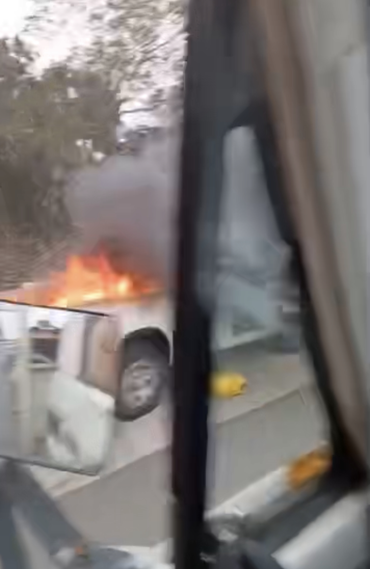 SIGNIES TO THE RESCUE - Signs & Lines