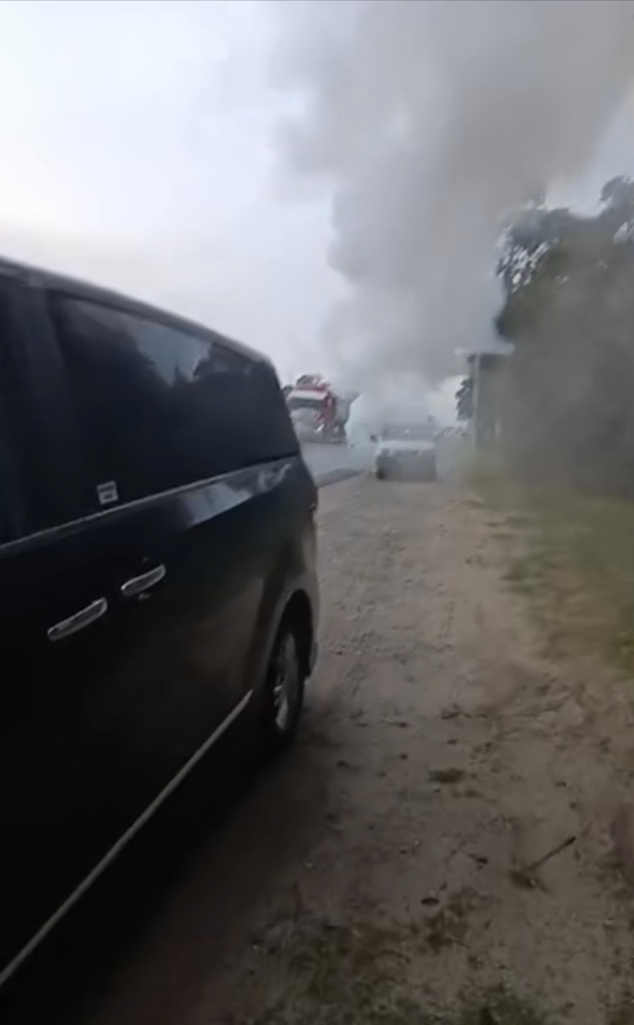 SIGNIES TO THE RESCUE - Signs & Lines