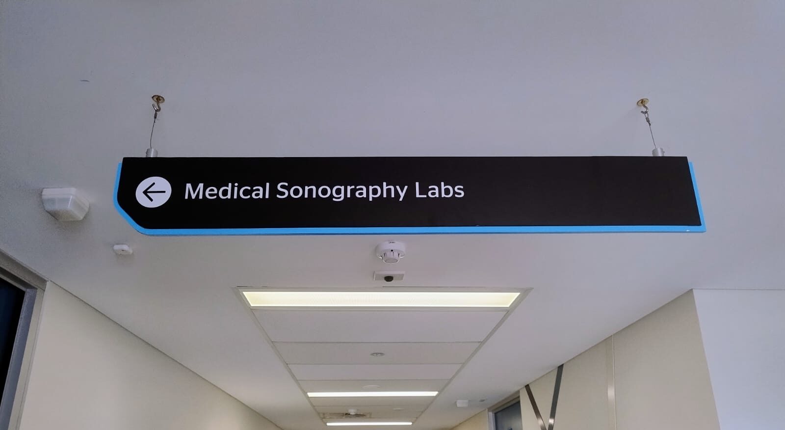 THE BOTTOM LINE: SIGNS MEAN BUSINESS - Signs & Lines